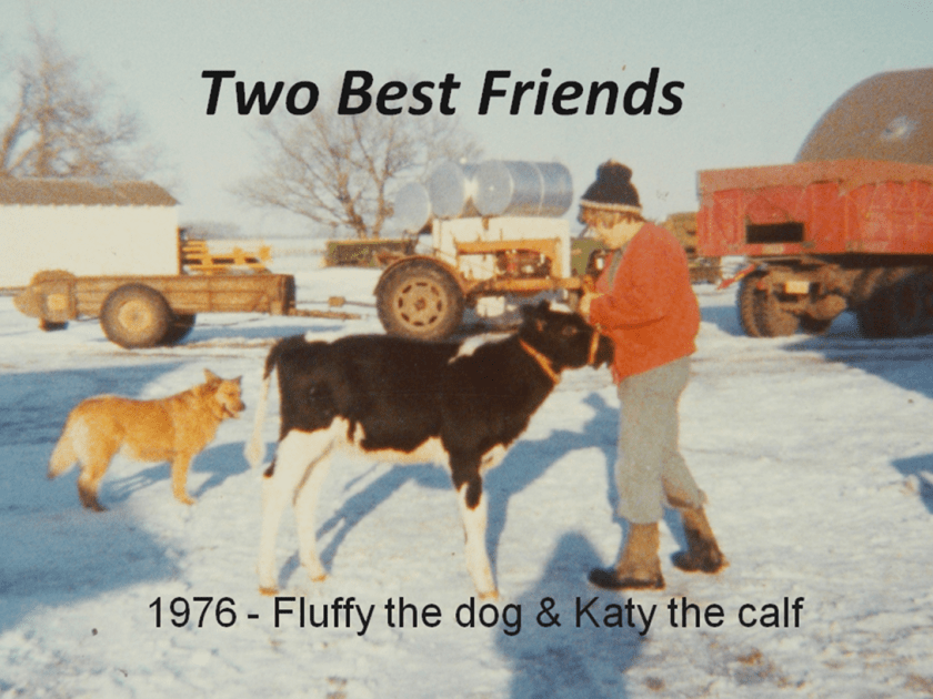 Shari Olson – South Phoenix Oral History Project