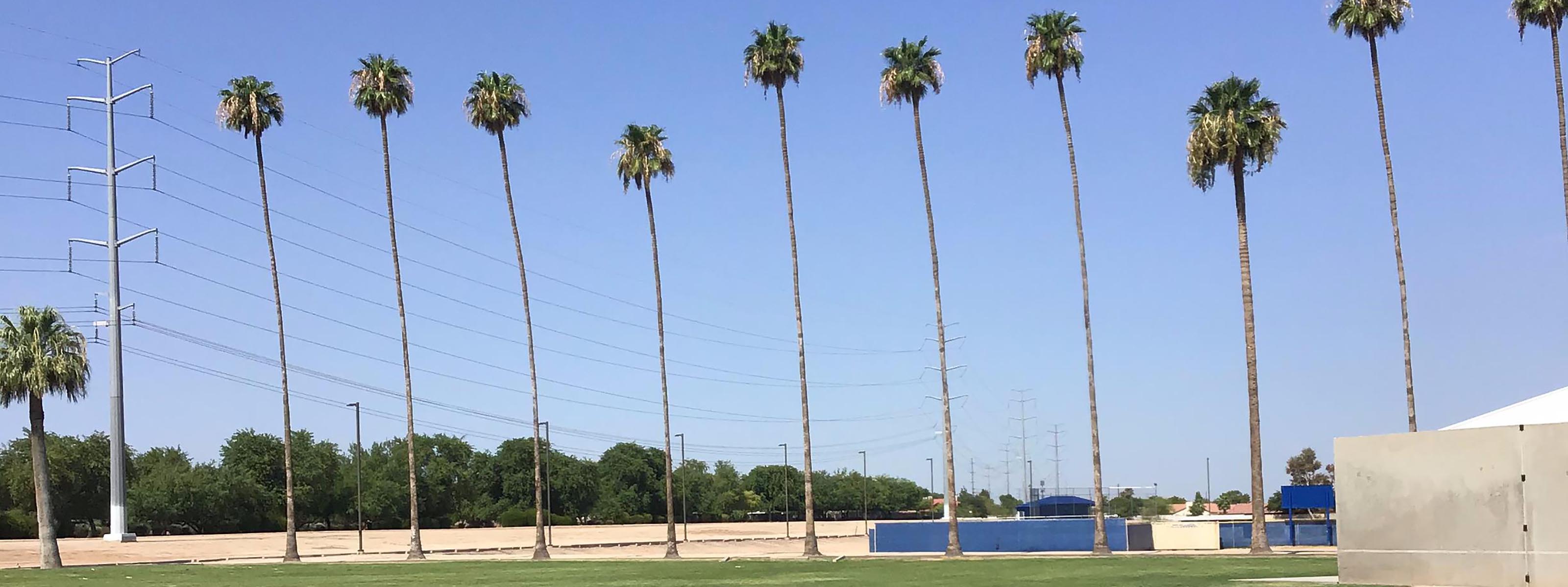 Historic Walking Tour of SMCC – South Phoenix Oral History Project